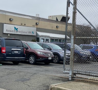 Brooklyn Animal Care Center (NYCACC)